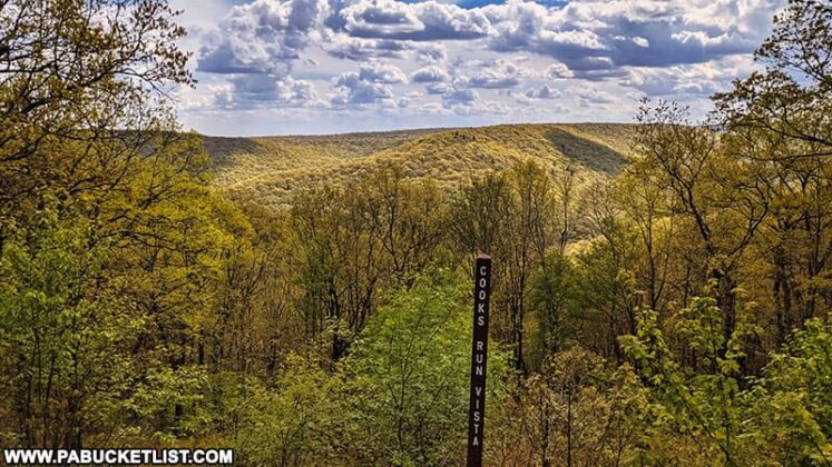16 Must-See Attractions in the Sproul State Forest - PA Bucket List