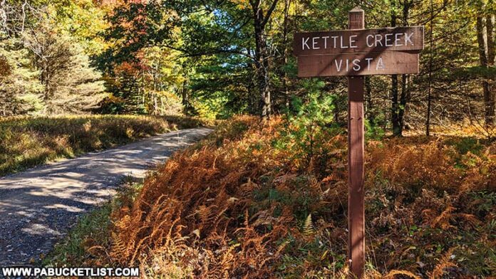 Exploring Kettle Creek State Park in Clinton County