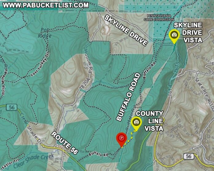 Exploring Skyline Drive Vista in the Gallitzin State Forest