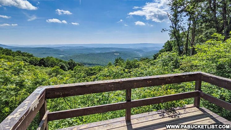 Exploring County Line Vista in the Gallitzin State Forest
