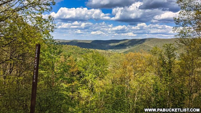 Exploring Kettle Creek State Park in Clinton County