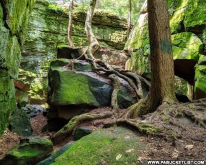 Exploring Bilger's Rocks in Clearfield County