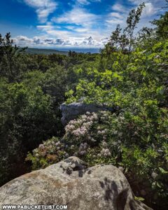 Exploring Beam Rocks Overlook in the Forbes State Forest