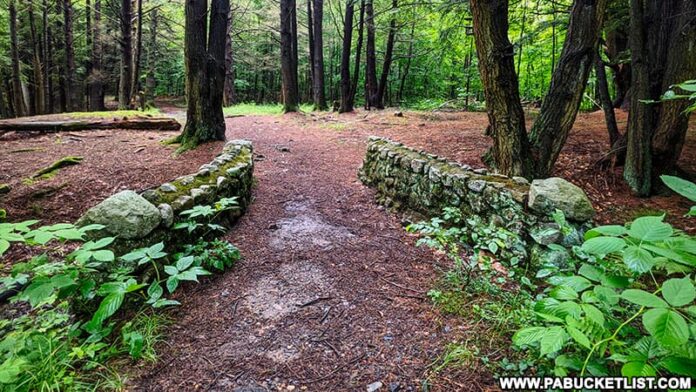 Exploring Fall Brook Falls in Tioga County