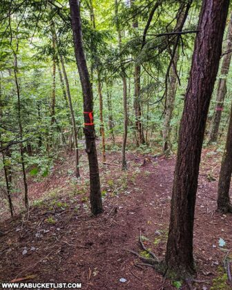 Exploring Fall Brook Falls in Tioga County