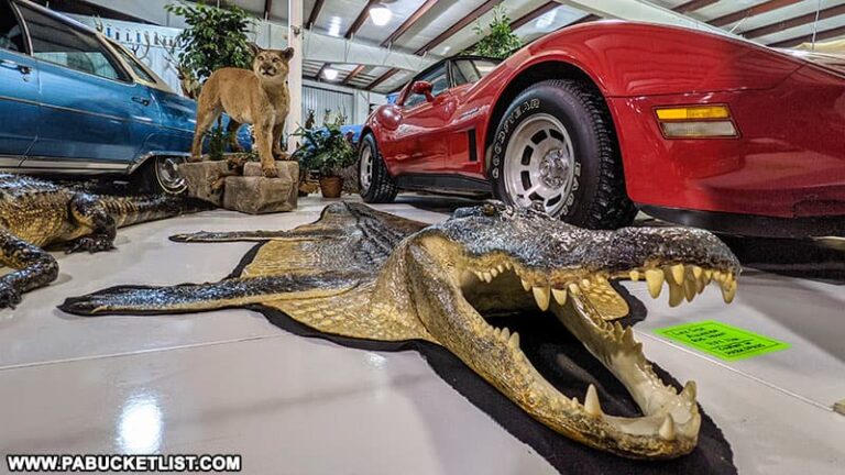 Exploring the Grice Museum in Clearfield County