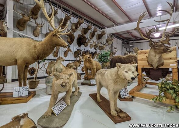 Exploring the Grice Museum in Clearfield County