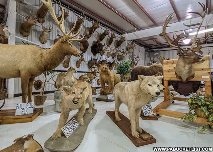 Exploring the Grice Museum in Clearfield County