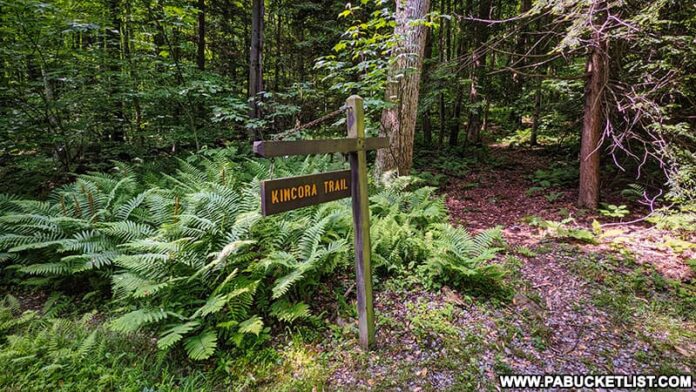 Exploring Kooser State Park in Somerset County