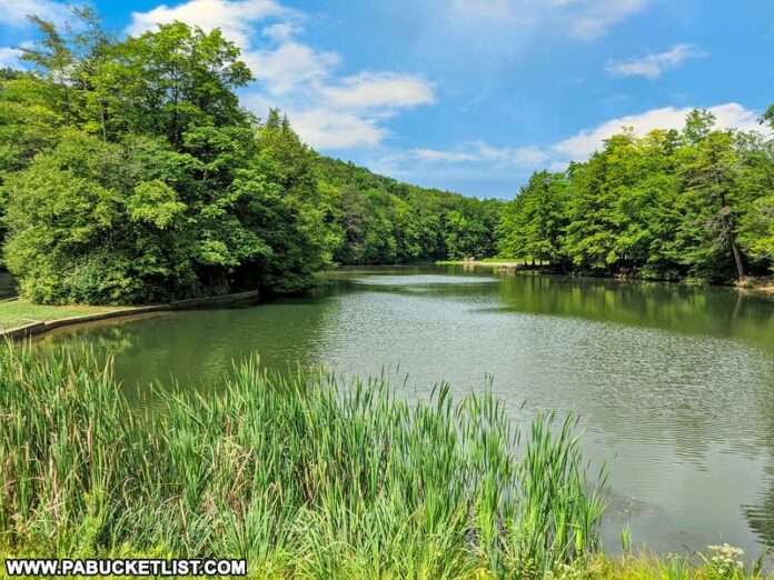 Exploring Kooser State Park in Somerset County