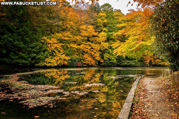 Exploring Kooser State Park in Somerset County