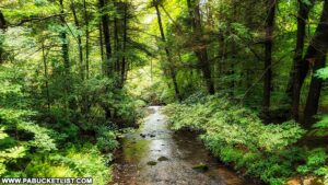 Exploring Kooser State Park in Somerset County