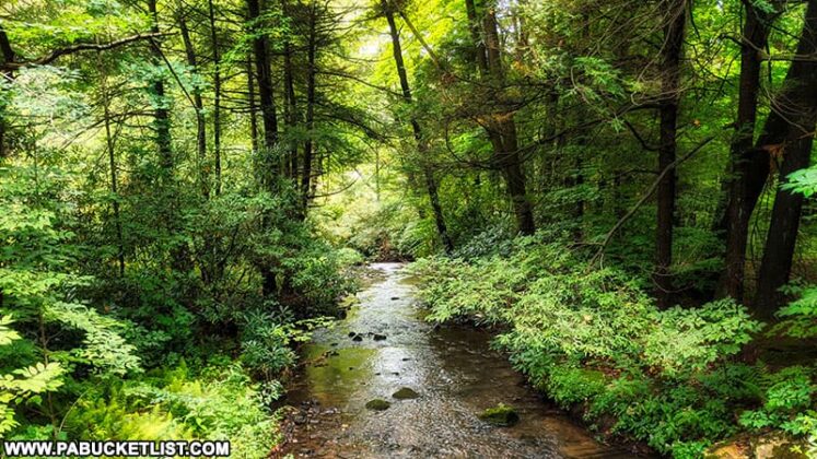 Exploring Kooser State Park in Somerset County