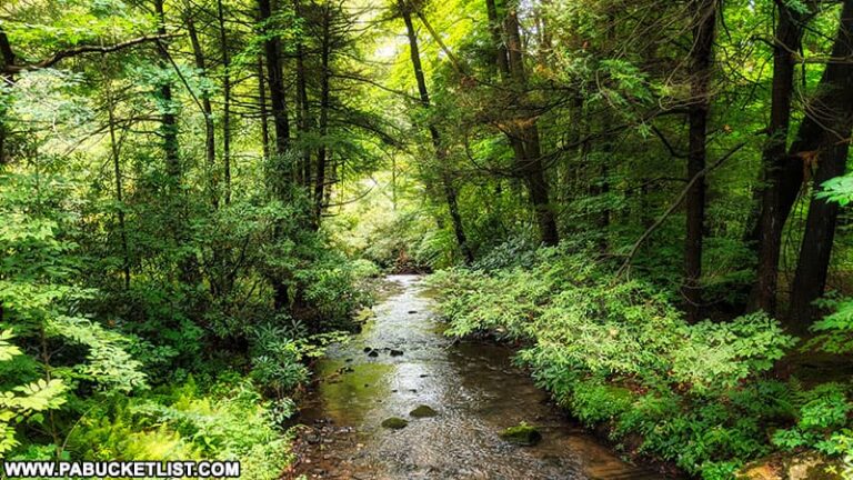 Exploring Kooser State Park in Somerset County