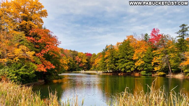 Exploring Kooser State Park in Somerset County