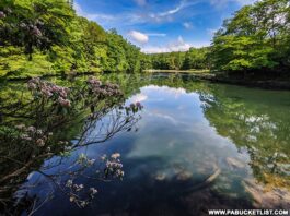 Exploring Kooser State Park in Somerset County