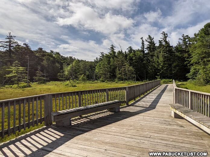 9 Must-See Attractions in the Forbes State Forest