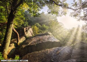 Exploring Baughman Rock Overlook at Ohiopyle State Park