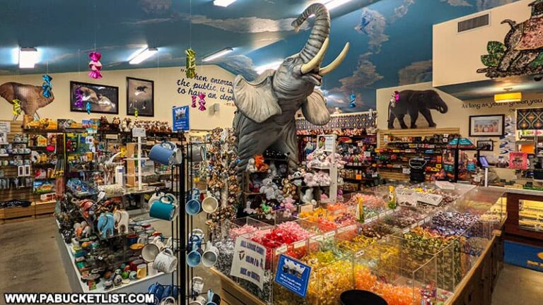 Exploring Mister Ed's Elephant Museum and Candy Emporium