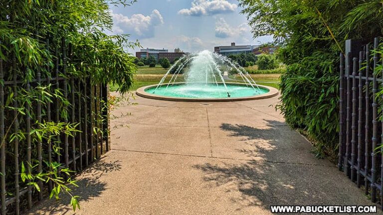 Exploring the Arboretum at Penn State