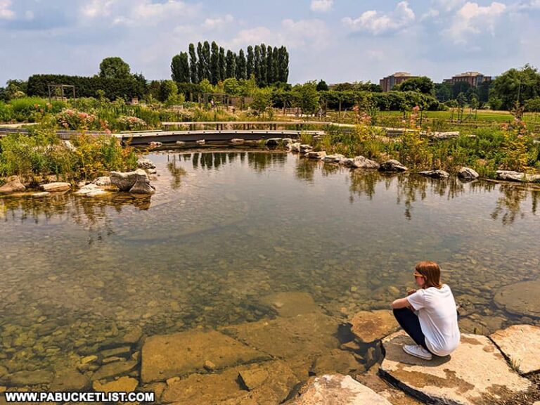 Exploring the Arboretum at Penn State