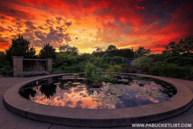 Exploring the Arboretum at Penn State