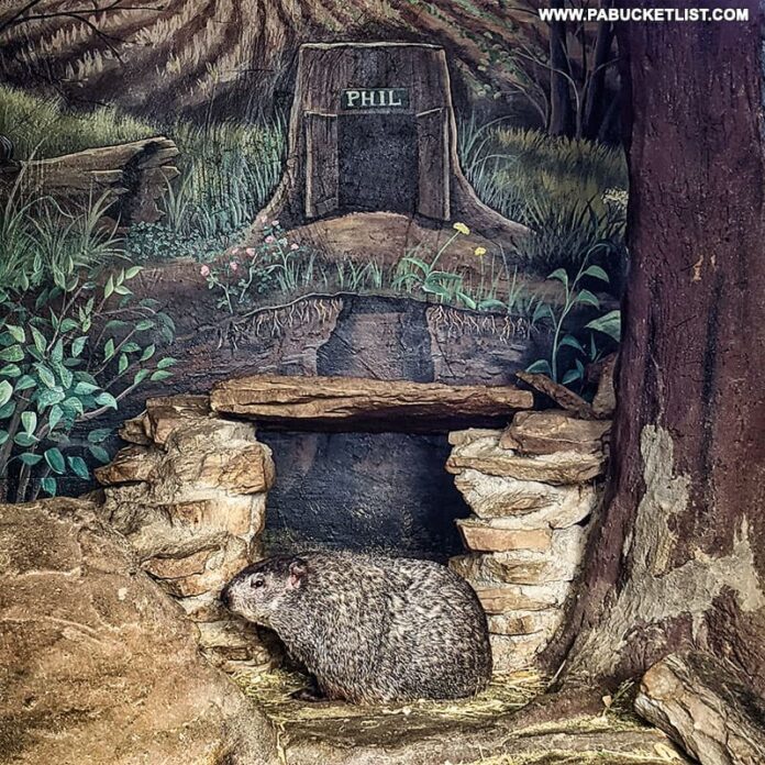 Visiting Punxsutawney Phil - PA's Most Famous Groundhog