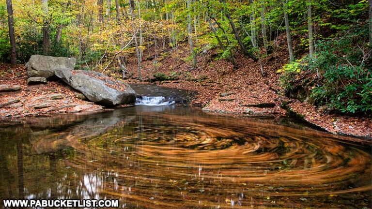 9 Must-See Attractions in the Forbes State Forest