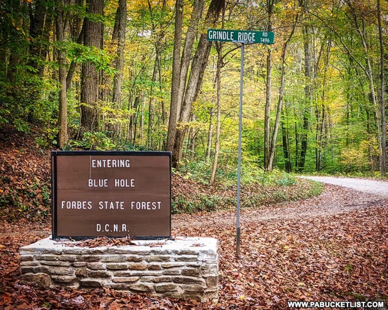 9 Must-See Attractions in the Forbes State Forest