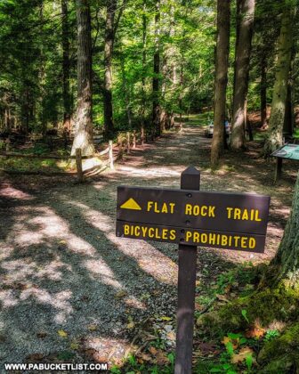 Exploring Linn Run State Park in Westmoreland County - PA Bucket List