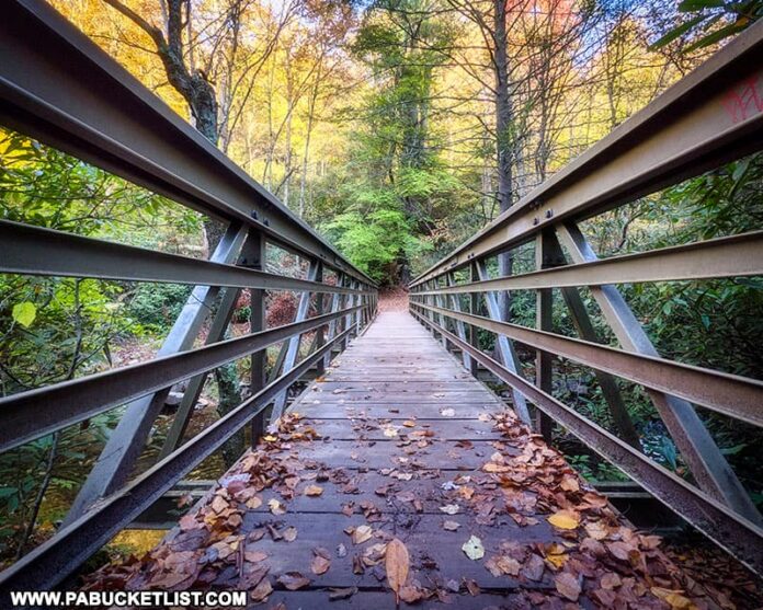 Exploring Hawk Falls at Hickory Run State Park