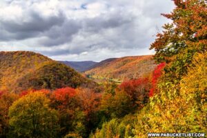 Exploring Lyman Run State Park in Potter County