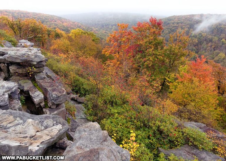 Exploring Wolf Rocks Overlook in the Forbes State Forest