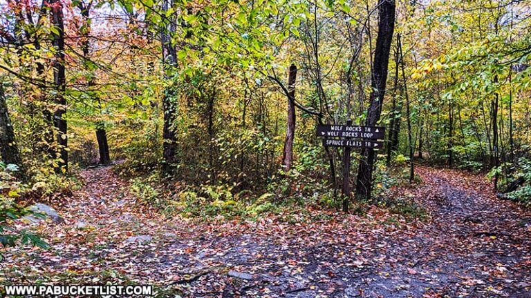 Exploring Wolf Rocks Overlook in the Forbes State Forest