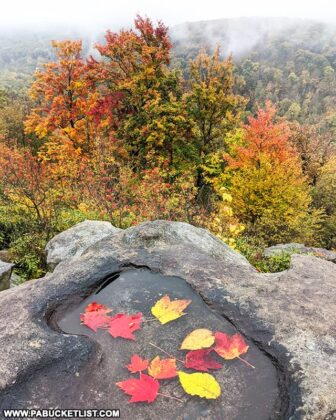 Exploring Wolf Rocks Overlook in the Forbes State Forest