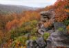 Exploring Wolf Rocks Overlook in the Forbes State Forest