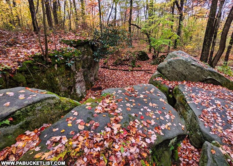 Exploring Wolf Rocks Overlook in the Forbes State Forest