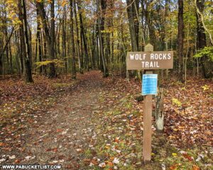 Exploring Wolf Rocks Overlook in the Forbes State Forest