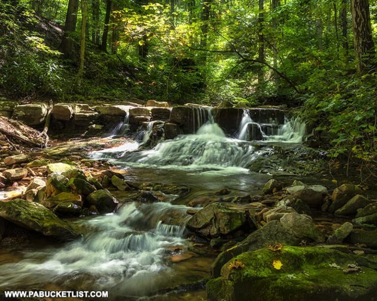 9 Must-See Attractions in the Forbes State Forest