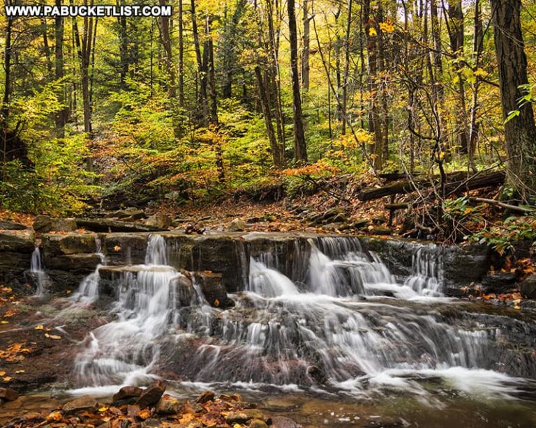 Exploring Fish Run Falls in the Forbes State Forest