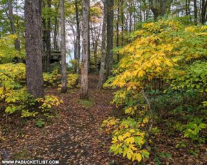 Exploring Jakes Rocks Overlook in Warren County