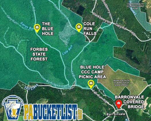 9 Must-See Attractions in the Forbes State Forest