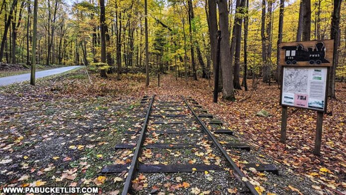 Exploring Linn Run State Park in Westmoreland County - PA Bucket List