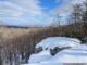 Exploring Beam Rocks Overlook in the Forbes State Forest