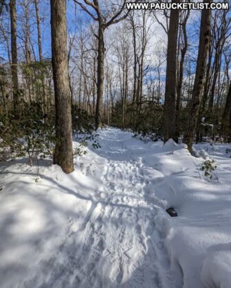 Exploring Beam Rocks Overlook in the Forbes State Forest