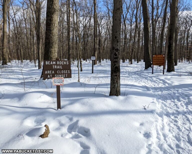 Exploring Beam Rocks Overlook in the Forbes State Forest