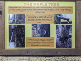 Exploring Brantview Farms Maple Camp in Somerset County