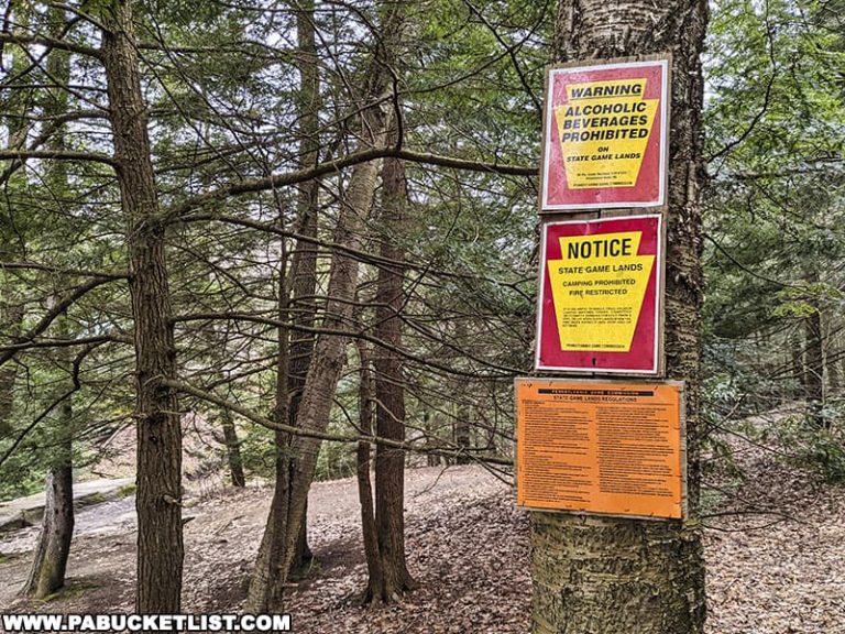 Exploring Springfield Falls in Mercer County - PA Bucket List