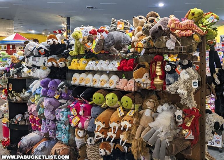 Exploring the Stealth Bomber Toy Store in Butler County