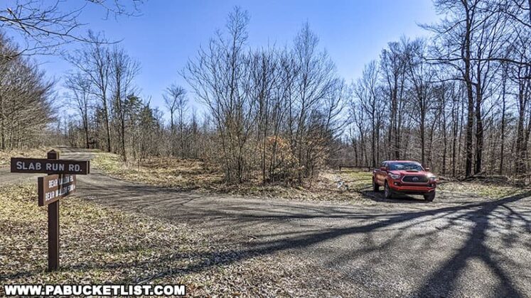 Exploring Emerald Falls in the Loyalsock State Forest - PA Bucket List